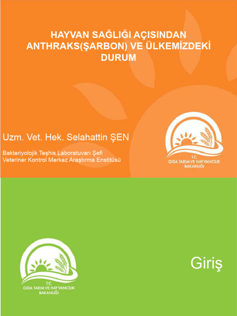 Hayvan Sagligi Acisindan Anthraks Sarbon Ve Ulkemizdeki Durum | PDF