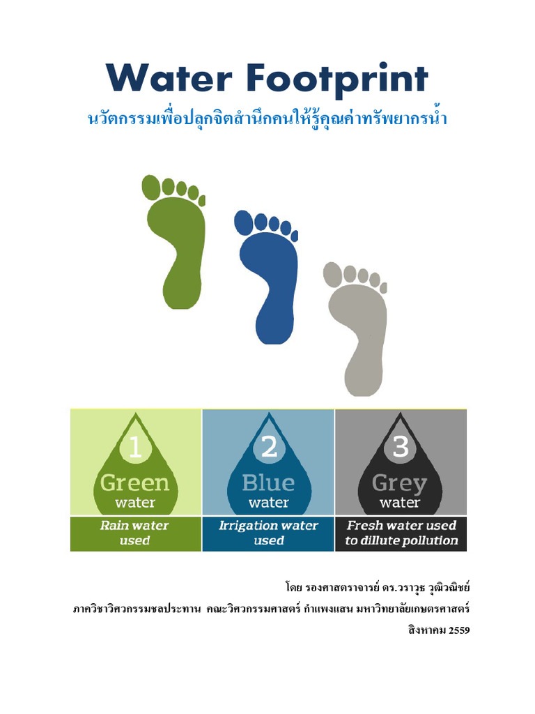 Water Footprint VV | PDF