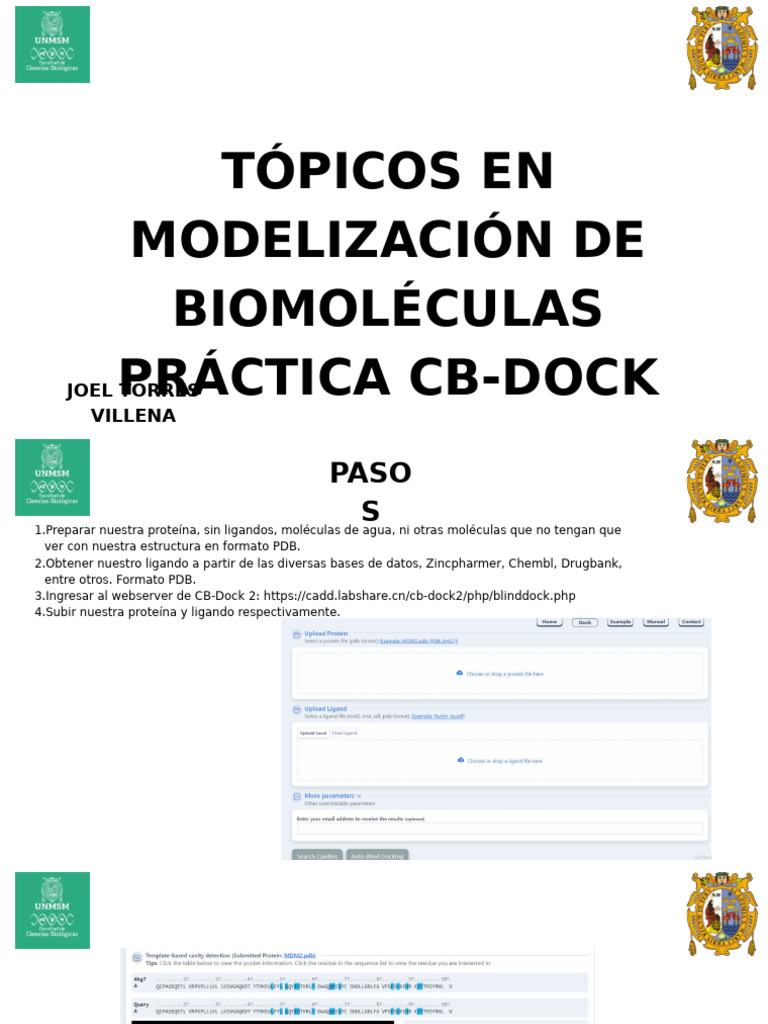 CB-DOCK & CAB-DOCK- práctica | PDF | Ligando | Moléculas