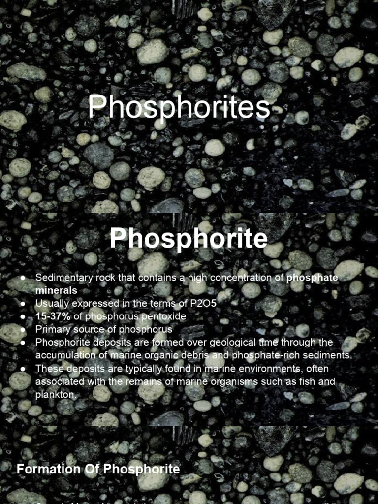 Phosphorites | PDF | Sedimentary Rock | Phosphate