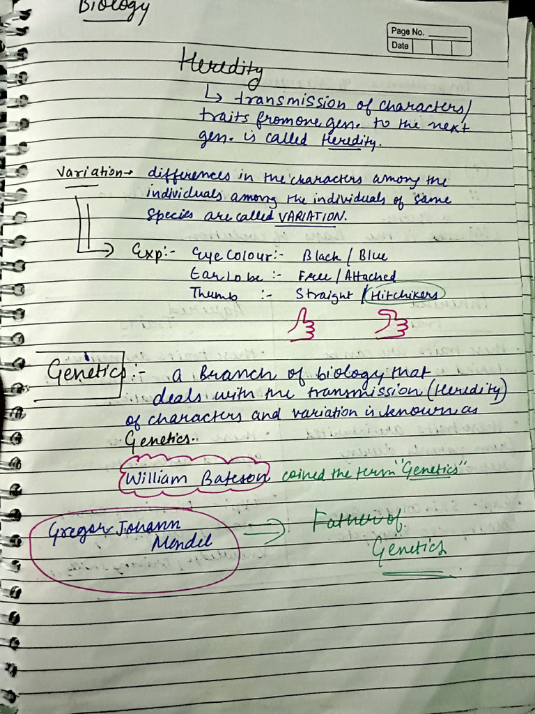 Heredity Notes | PDF