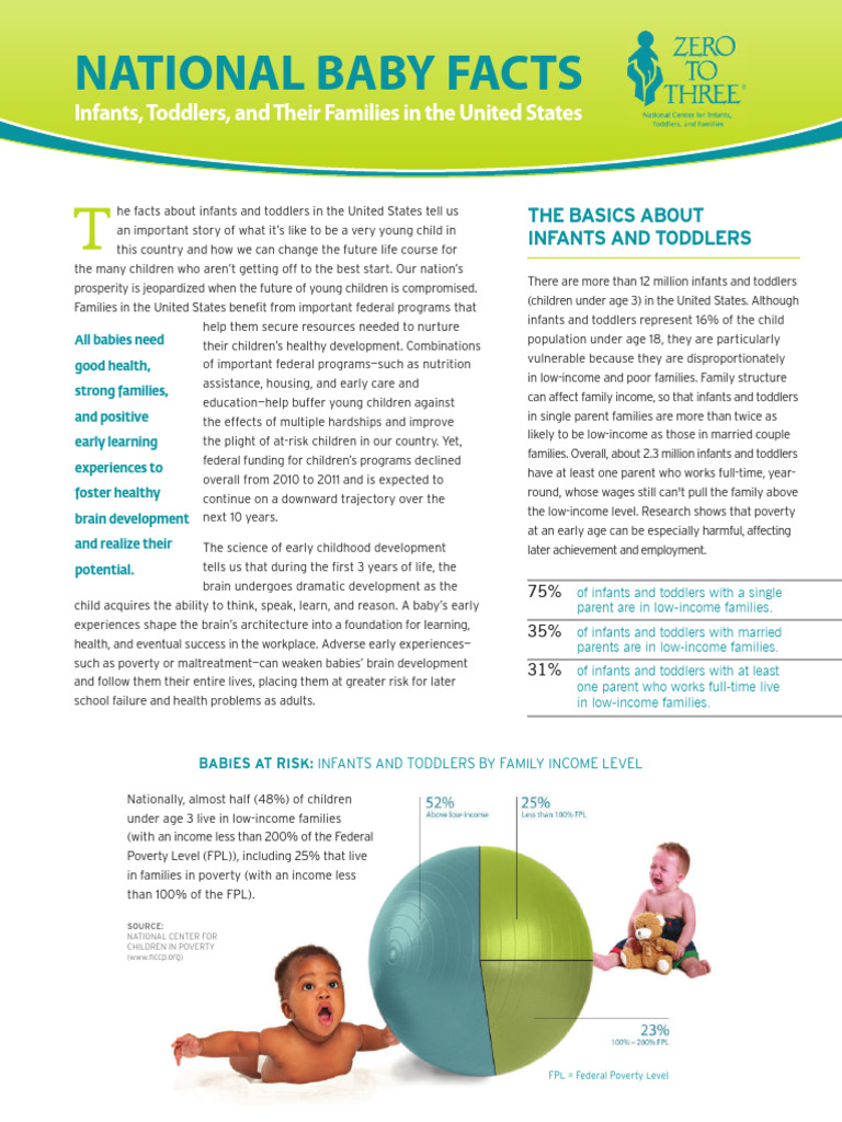 National-Baby-Facts | PDF | Infants | Child Care