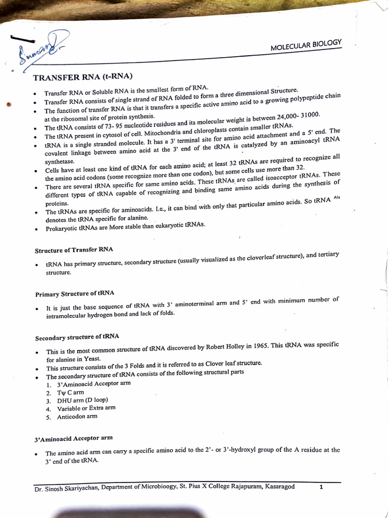 t -RNA | PDF | Rna | Life Sciences