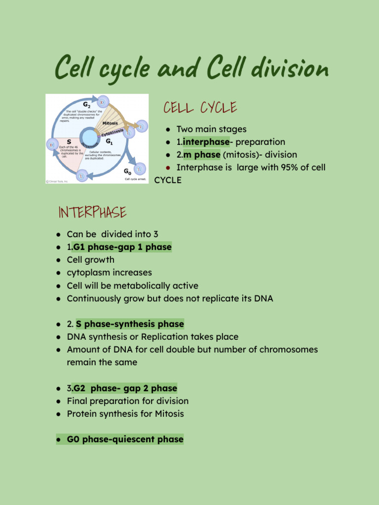 Cell Cycle and Cell Division | PDF | Meiosis | Mitosis