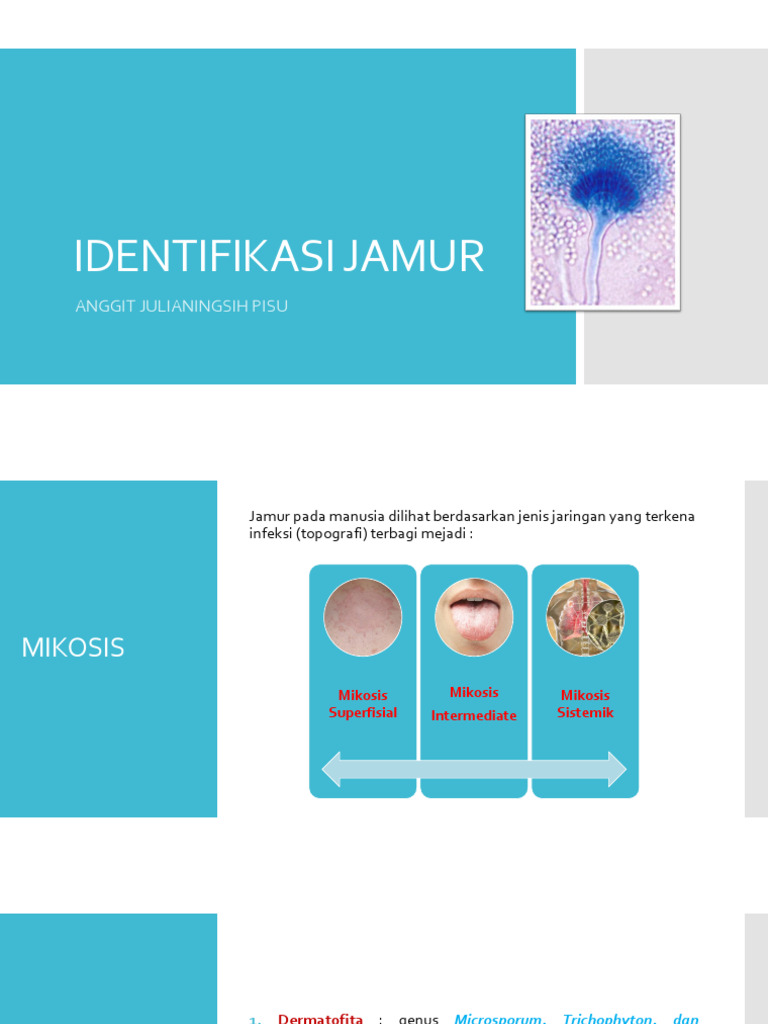 Identifikasi Jamur Anggit | PDF