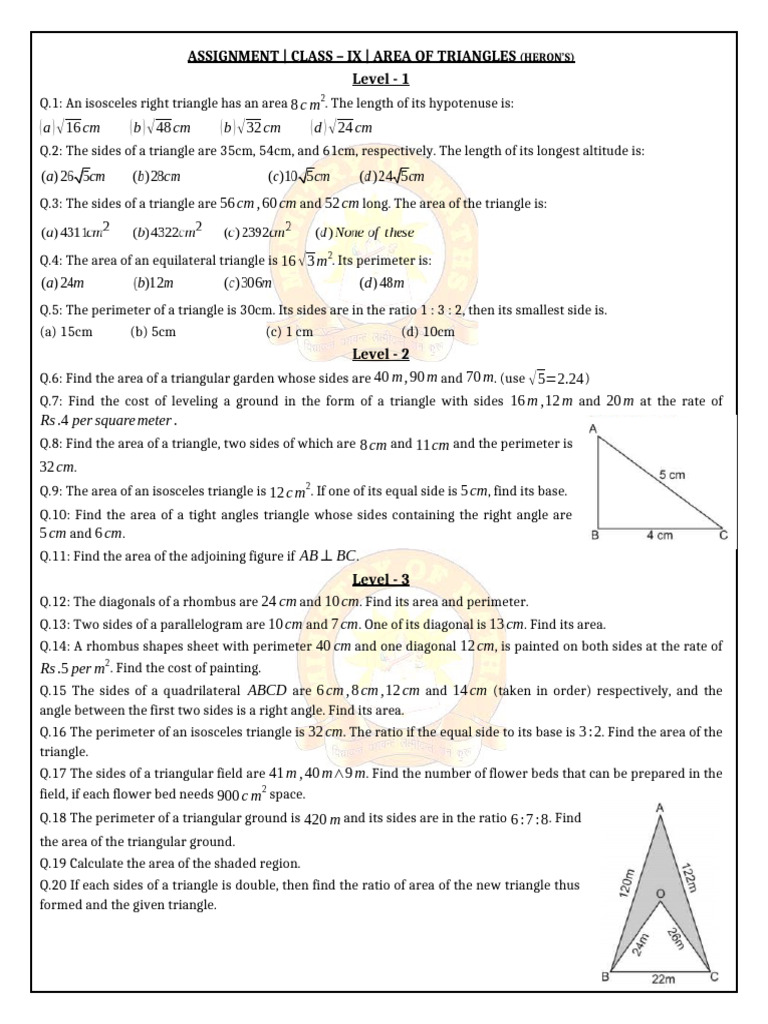 Copy of Class IX Maths Heron's Formula Assignment-Levels | PDF | Area | Triangle