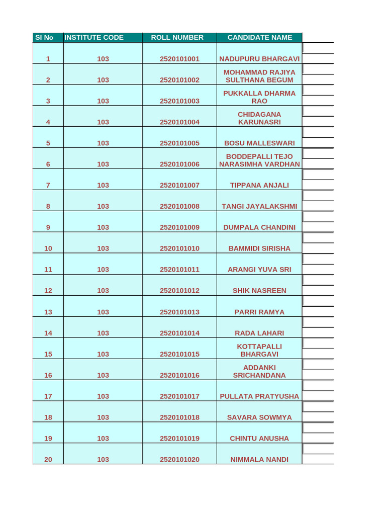 New Microsoft Office Excel Worksheet | PDF