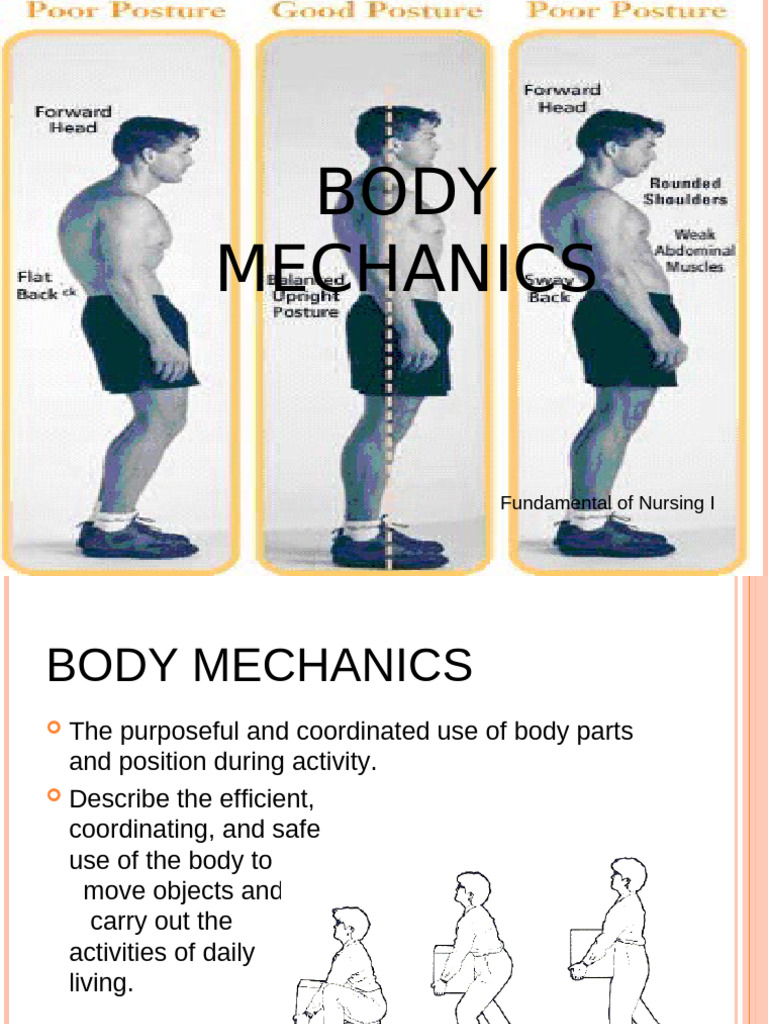 Body Mechanics | PDF | Musculoskeletal System