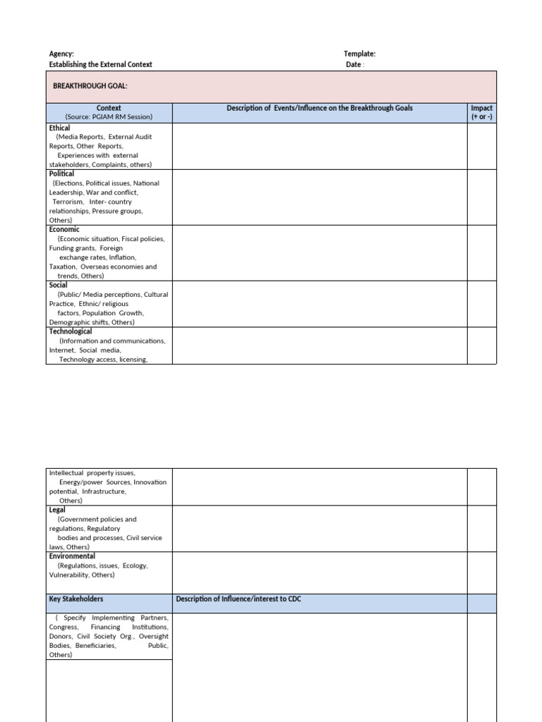 Pasig Template Establishing The External Context | PDF