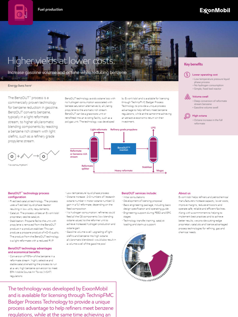 benzout_factsheet_en (1) | PDF | Gasoline | Hydrocarbons