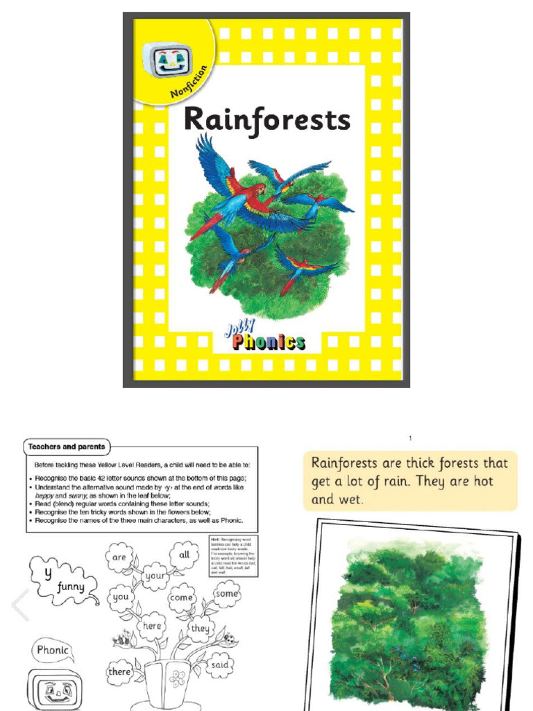 YellowBook RainForests | PDF