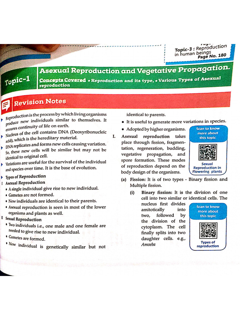 Sexual Asexual Reproduction | PDF