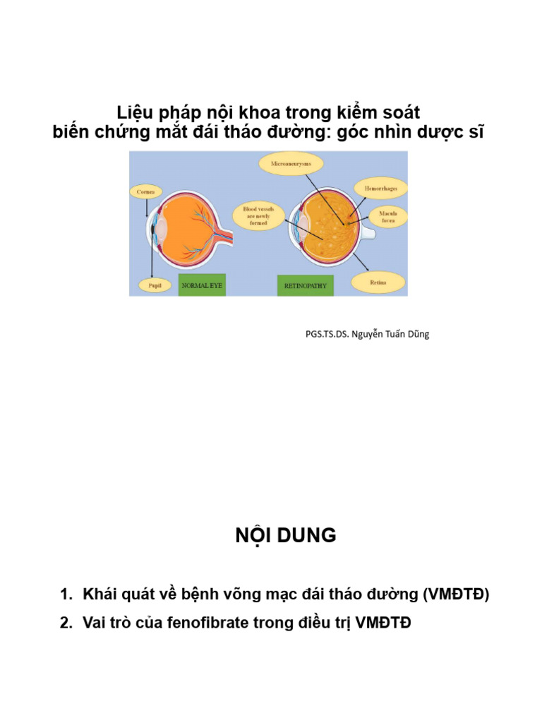 C3.PGS. Nguyen Tien Dung - YD TPHCM - DTD | PDF