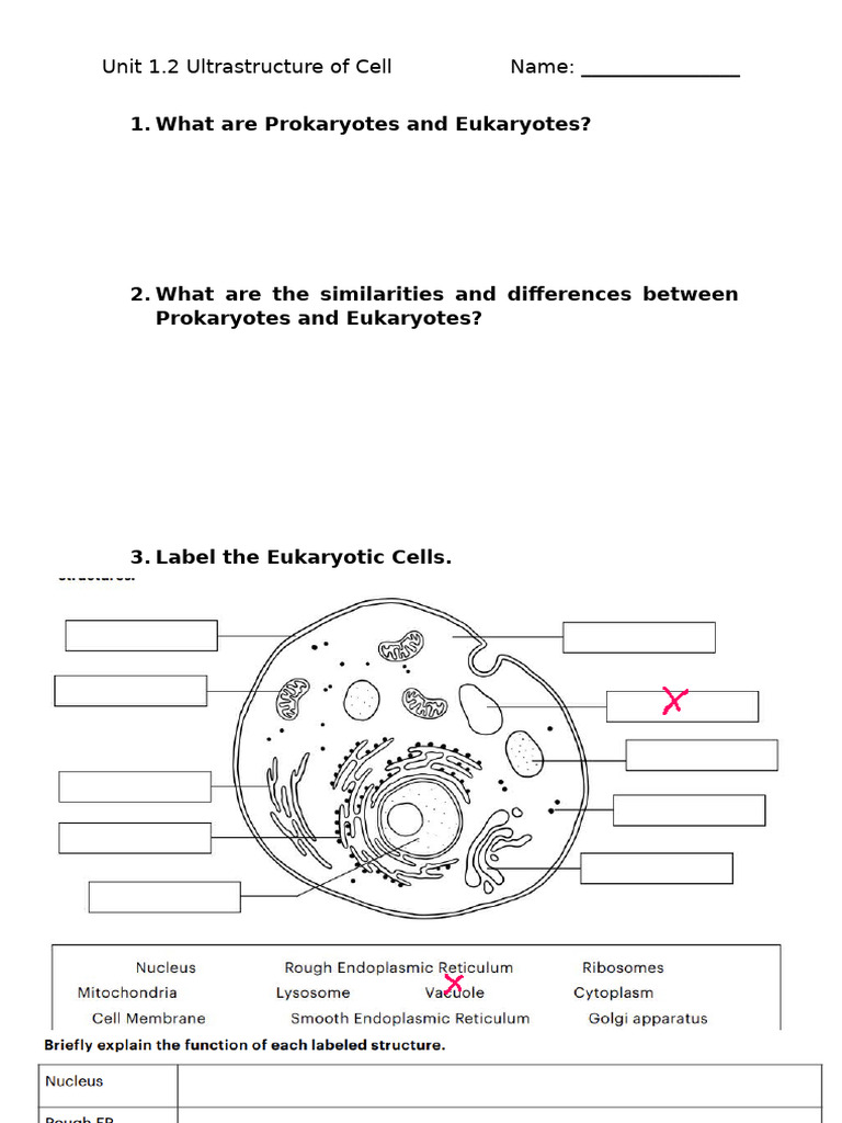 1.2 Ultrastructure of Cell HW 3 | PDF