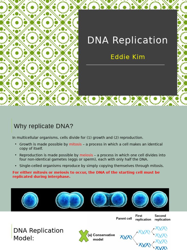 AP Biology: DNA Replication Overview | PDF | Dna Replication | Primer ...