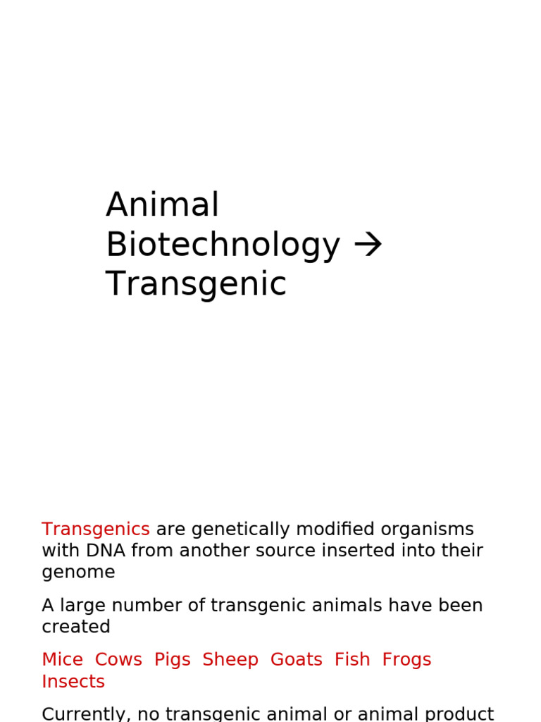 Animal Biotechnology-Transgen | PDF | Cloning | Transgene