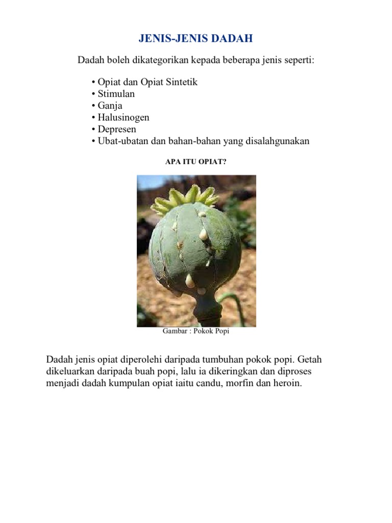 JENIS Dadah | PDF