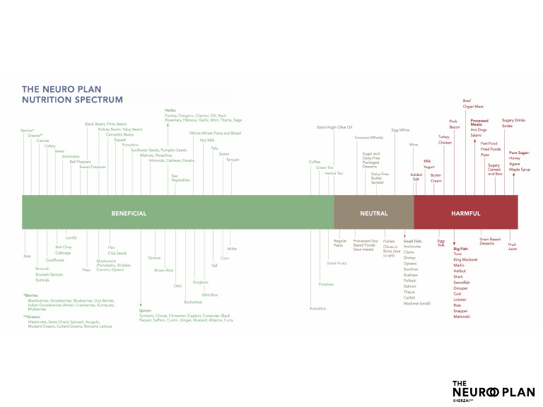 The_NEURO_Plan_Nutrition_Spectrum | PDF
