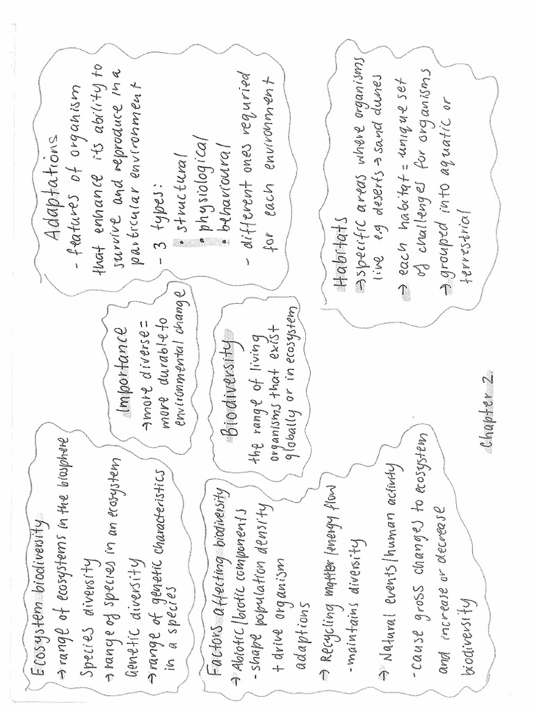 Concept Map Student Exemplar (2) | PDF