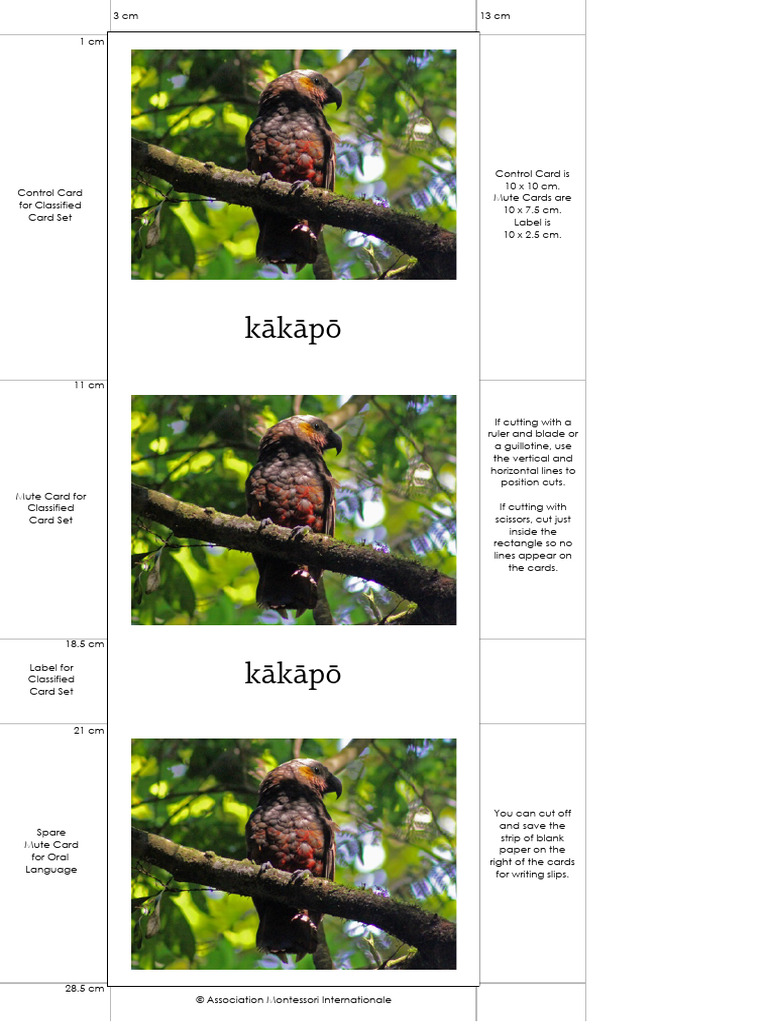 Montessori Language Card Set Guide | PDF | Scissors | Birds