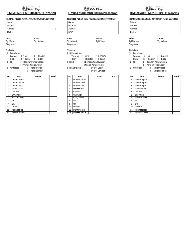 Audit Monitoring Pelayanan | PDF