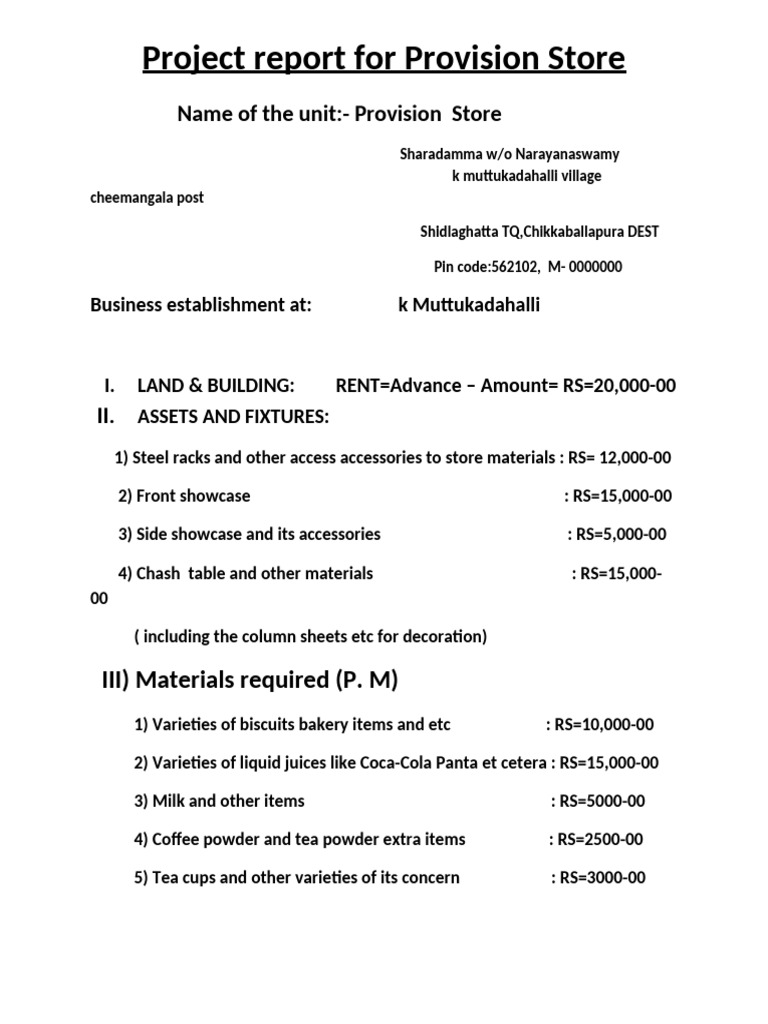 Provision Store Project Overview | PDF