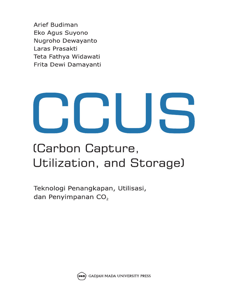 CCUS | PDF