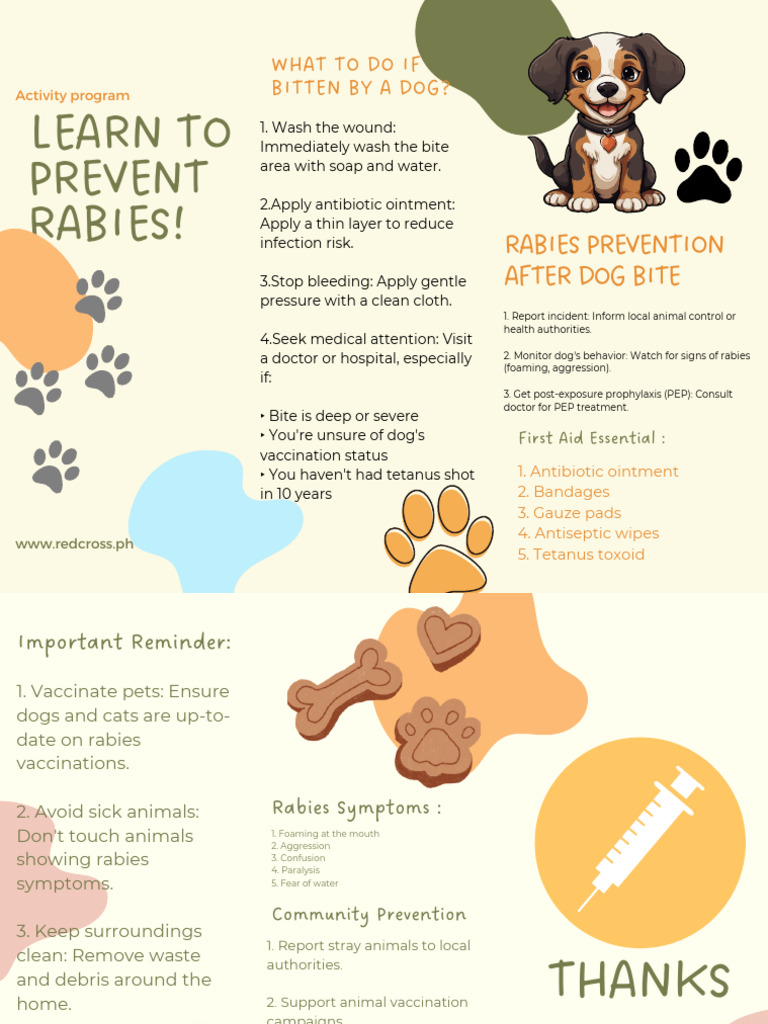 Learn To Prevent Rabies! - 20241107 - 072004 - 0000 | PDF | Rabies ...
