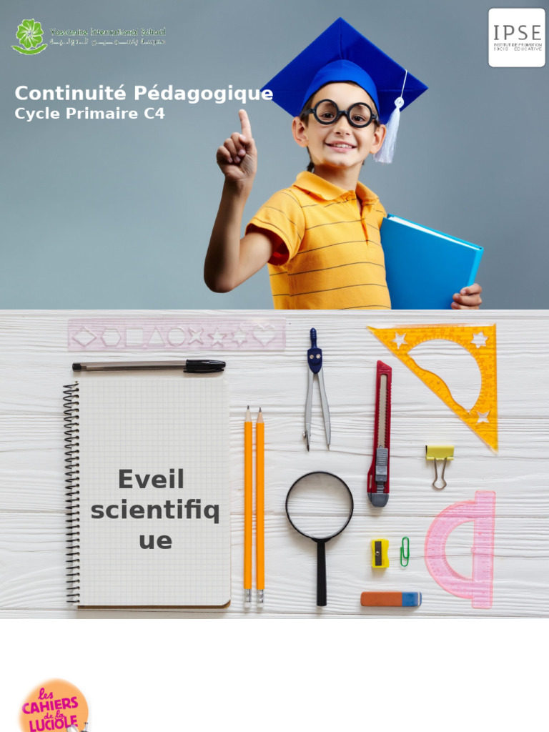 C4 -PPT - YIS- d'où viennent les aliments - | PDF | Céréale | Agriculture