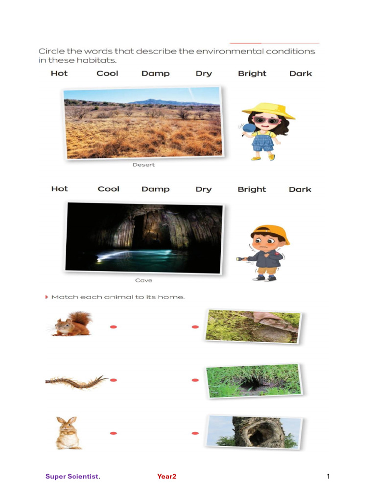 Super Scientist Year 2 Answer Key | PDF