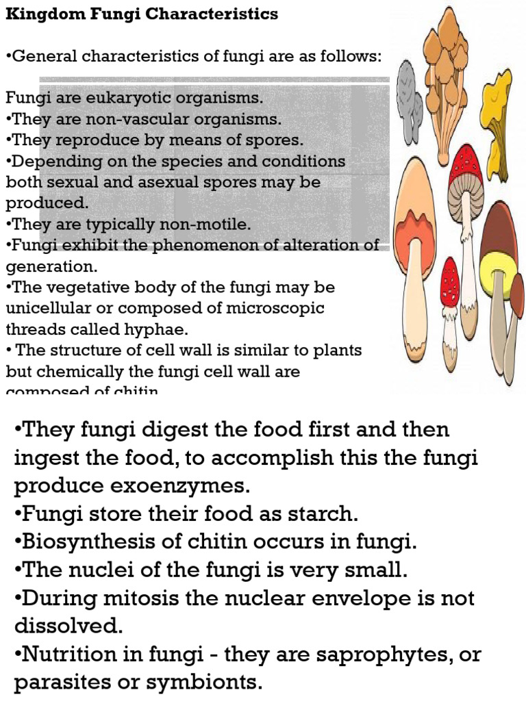 Kingdom Fungi | PDF | Fungus | Mycology