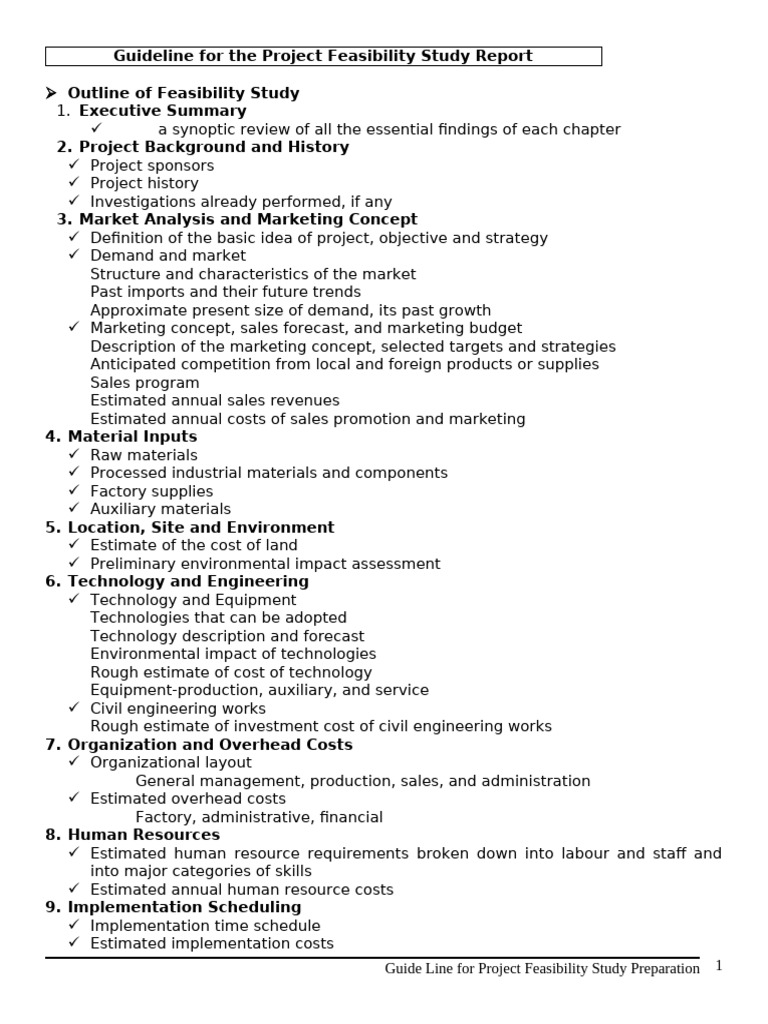 Guideline For The Project Feasibility Study Report | PDF | Capital Budgeting | Marketing