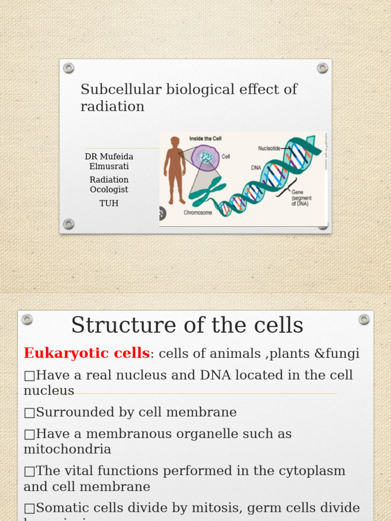 Subcellular Radiation Damage | PDF | Dna | Dna Repair