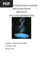 Dna Fingerprinting Investigatory Project 2024-25 Class-12 | PDF | Gel ...