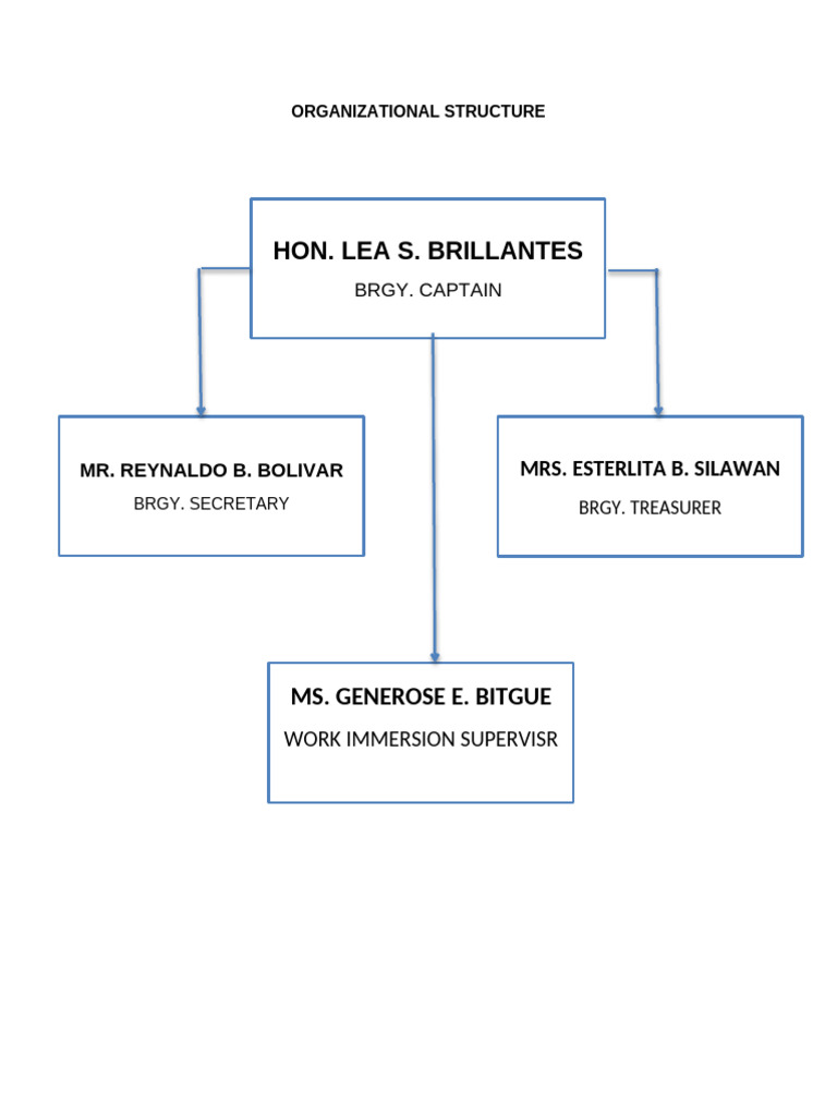 ORGANIZATIONAL STRUCTURE | PDF