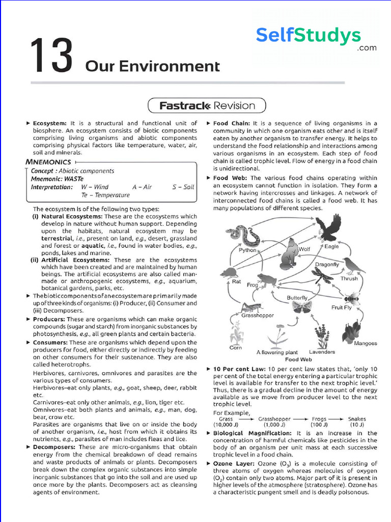 Our Environment 10 Class Important Question | PDF