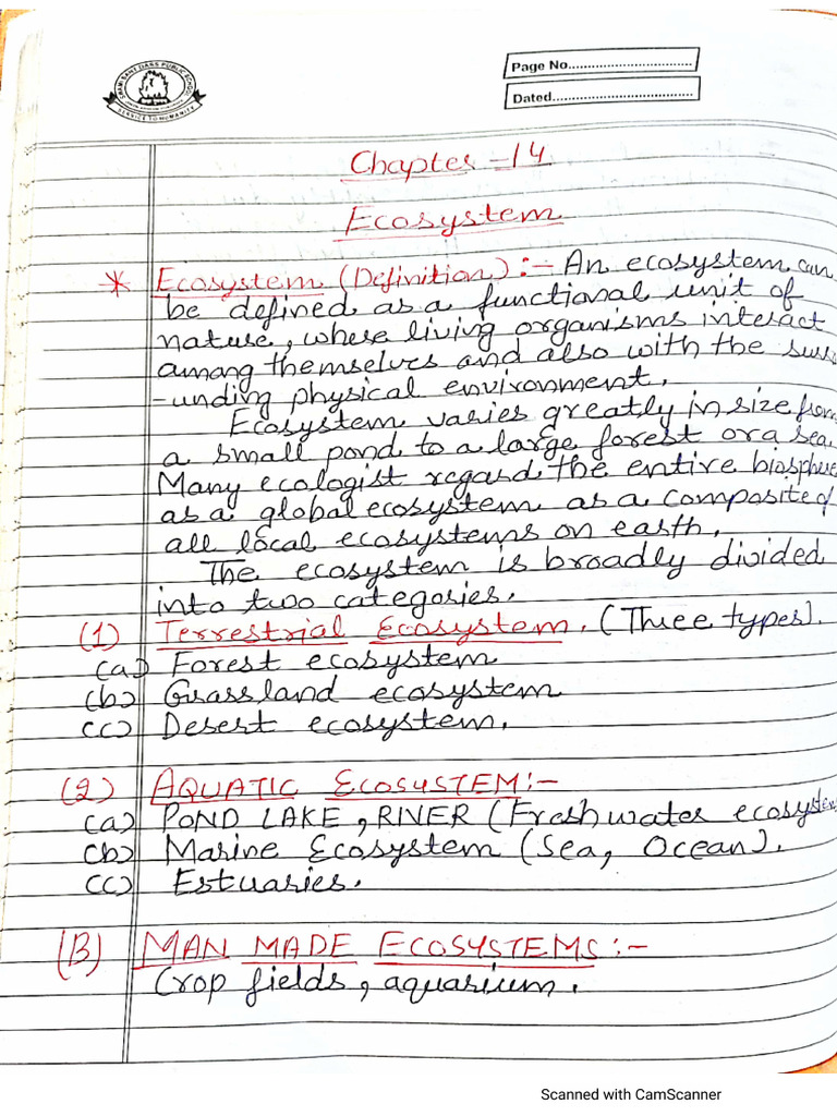 Ch-14 Ecosystem Class 12 Bio Notes | PDF