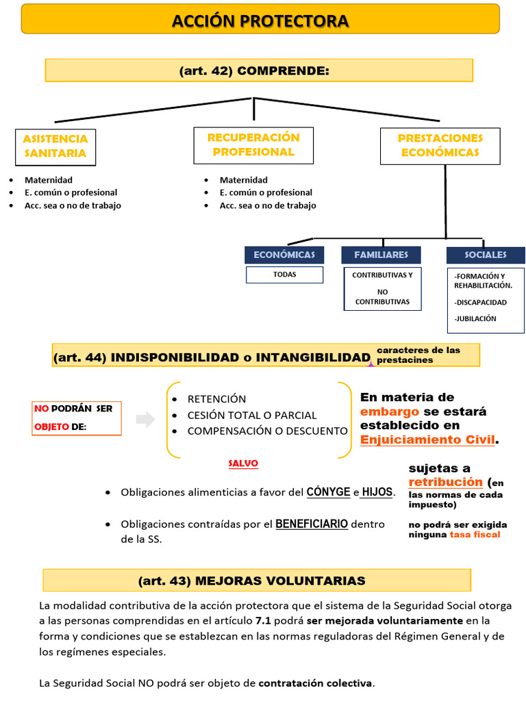 Acción Protectora | PDF | Justicia | Crimen y violencia