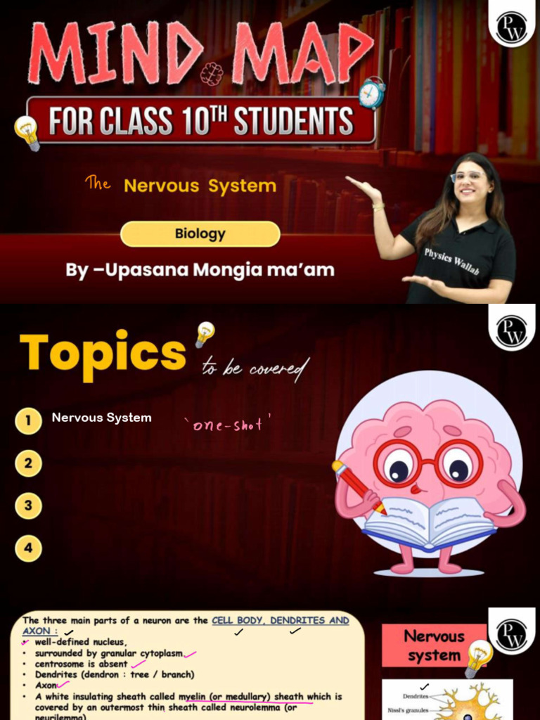 Nervous System _ Class Notes __ Class 10th ICSE Mind Map Serie | PDF