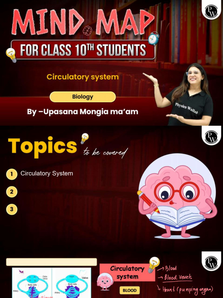 Circulatory System - Class Notes - Class 10th ICSE Mind Map Series | PDF
