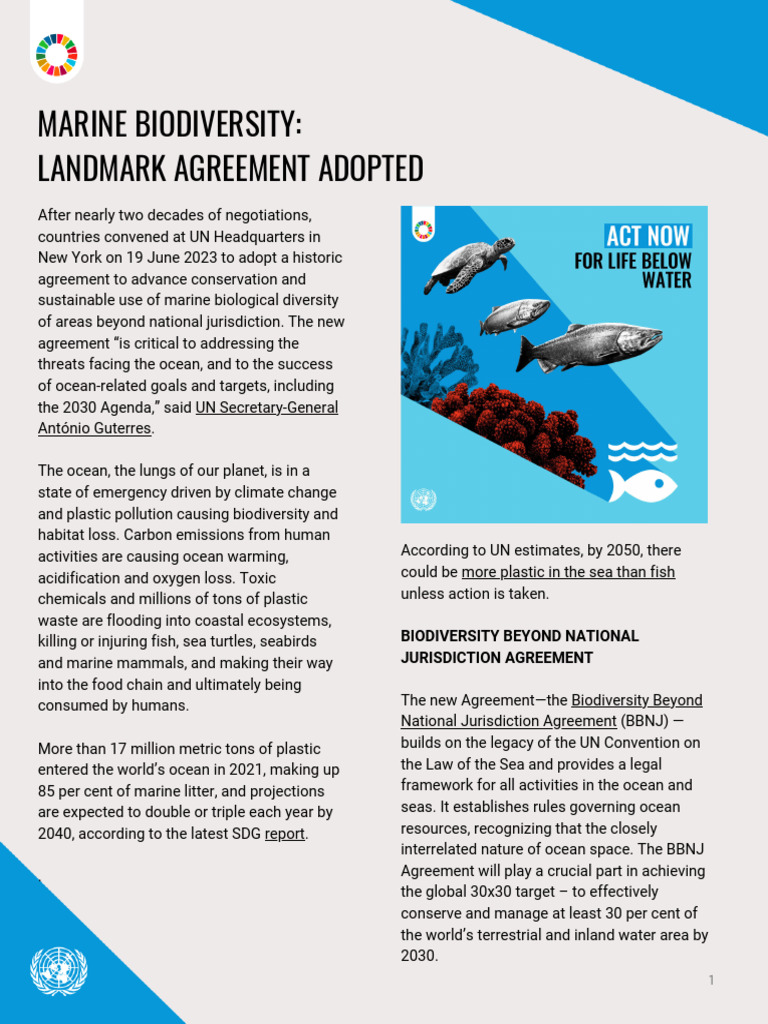 Marine-Biodiversity Explainer | PDF | Oceans | Biodiversity