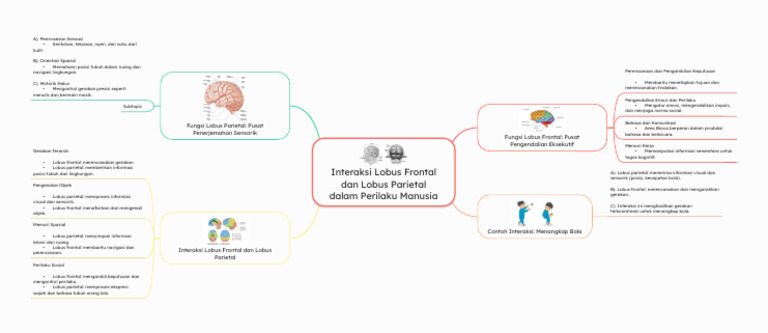Interaksi Lobus Frontal dan Lobus | PDF