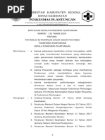 Contoh Checklist Pendampingan Ilp Di Pustu Dan Posyandu | PDF