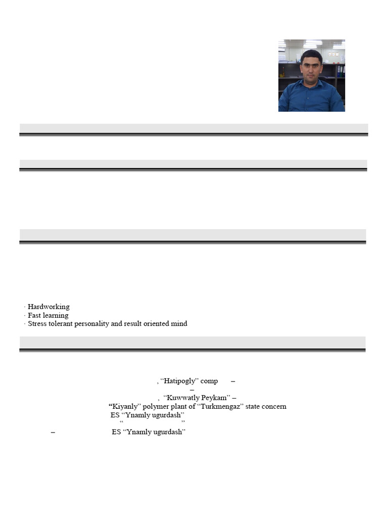 Begench Satlykov: Professional Profile | PDF