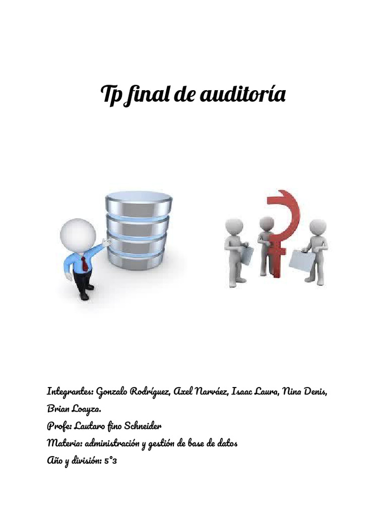 TP Final de Auditoría | PDF | Modelo de datos | Datos de computadora