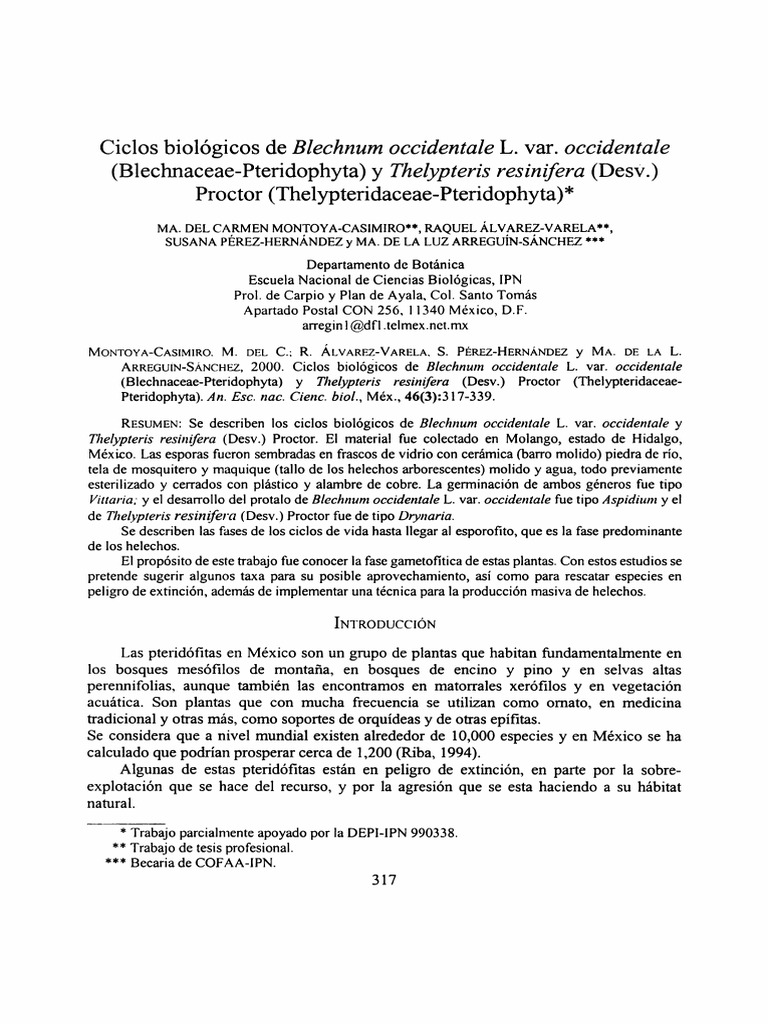 Ciclos Biologicos | PDF | Espora | Helecho