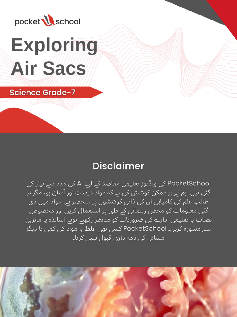 Exploring Air Sacs | PDF | Lung | Breathing