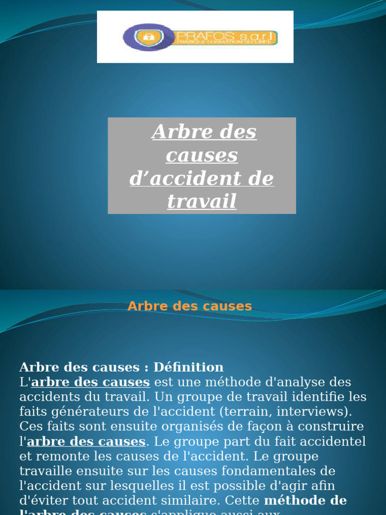 Arbre Des Cause Définition Et Exp | PDF | Arbres
