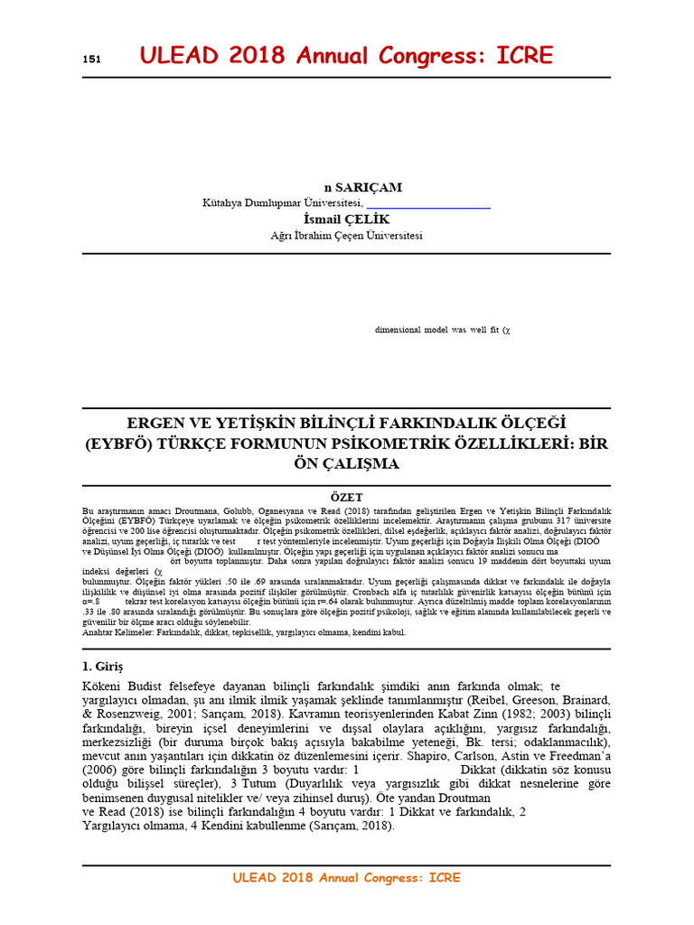 Ergen Ve Yetiskin Bilincli Farkindalik o | PDF