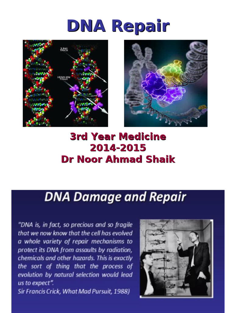 6- DNA Repair | PDF | Dna Repair | Dna
